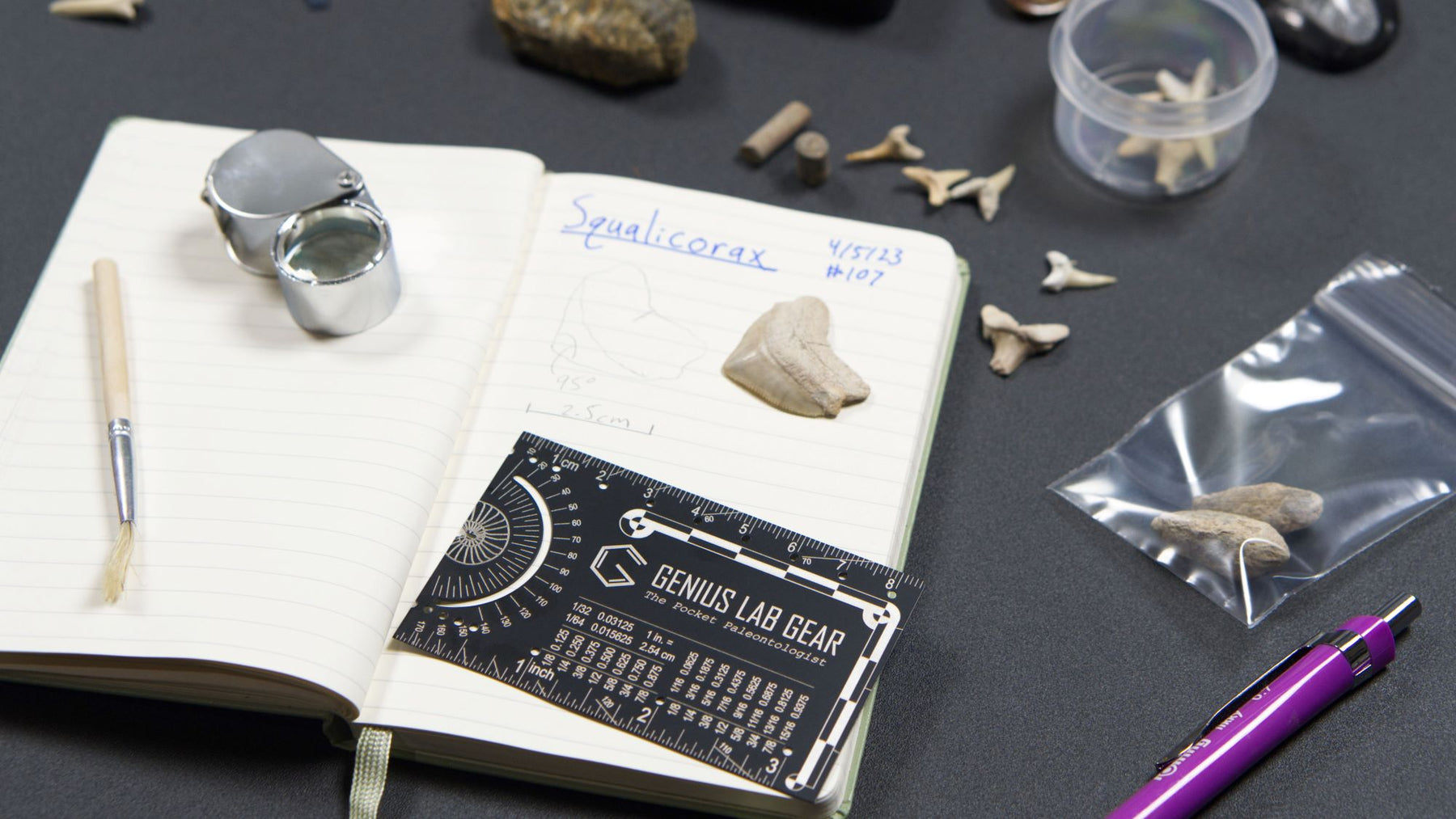 The Pocket Paleontologist - Fossil Hunting Pocket Tool - Genius Lab Gear